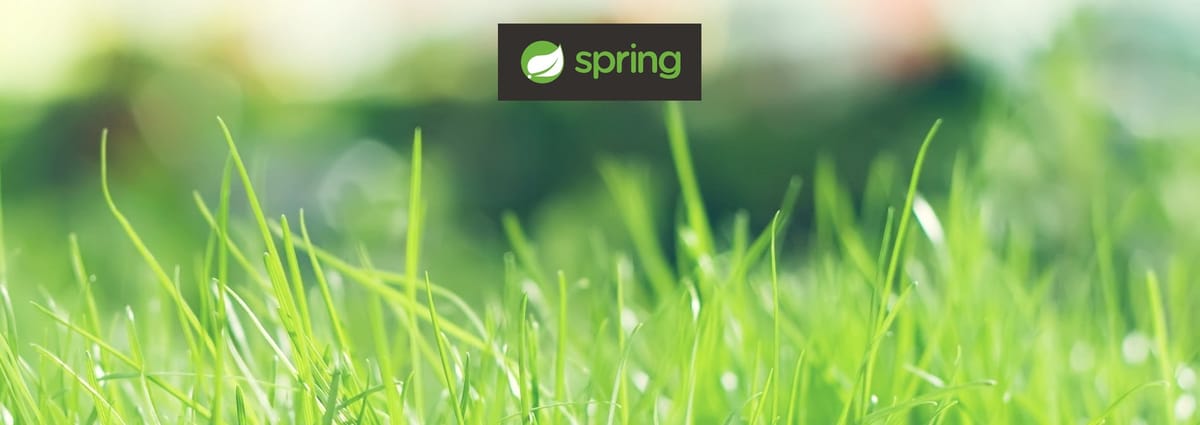 Hibernatestödet i Spring